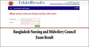 Diploma Nursing Result 2024 www.bnmc.gov.bd
